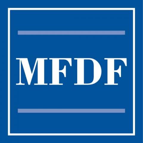 MFDF - Director Discussion Series